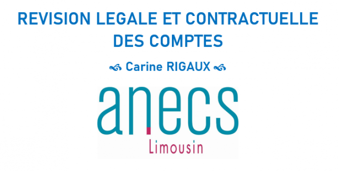 RÉVISION LÉGALE ET CONTRACTUELLE DES COMPTES avec Carine RIGAUD - ANECS