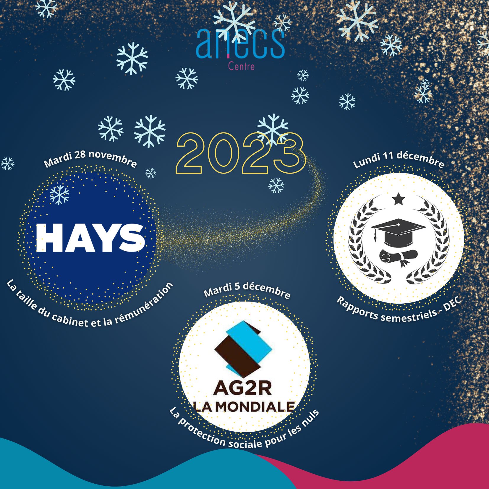 ANECS CENTRE x HAYS - La taille du cabinet et la rémunération - ANECS