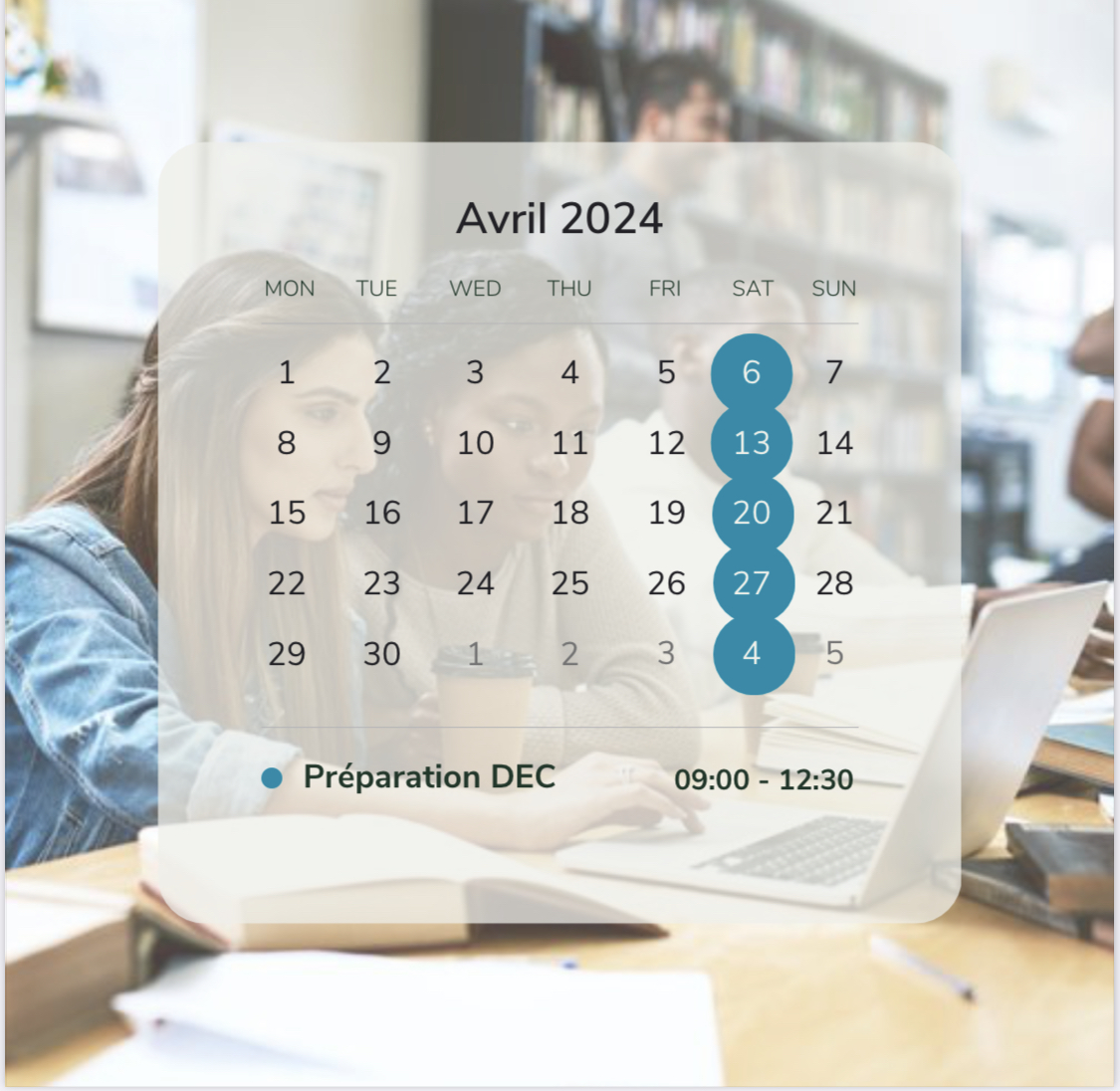 DEC Possible - ANECS