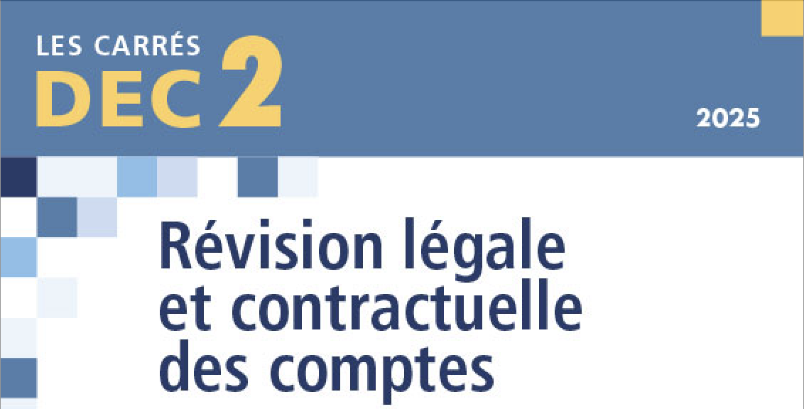 ANECS Ile-de-France – DEC POSSIBLE bis #2 MAI 2025 - ANECS